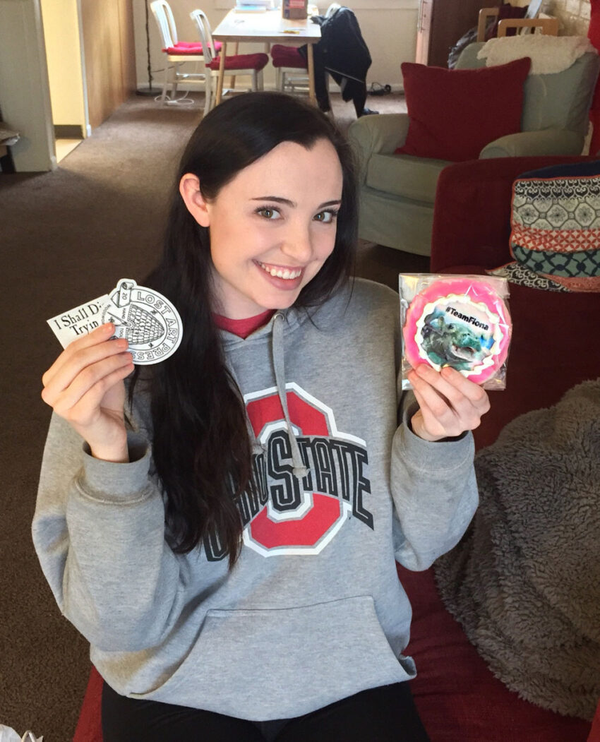 The Last of the Second Batch of Stickers (& Hippos) - Lost Art Press