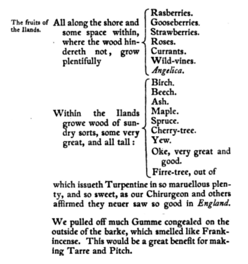 The Tree That Sparked an Industry and a Riot - Lost Art Press