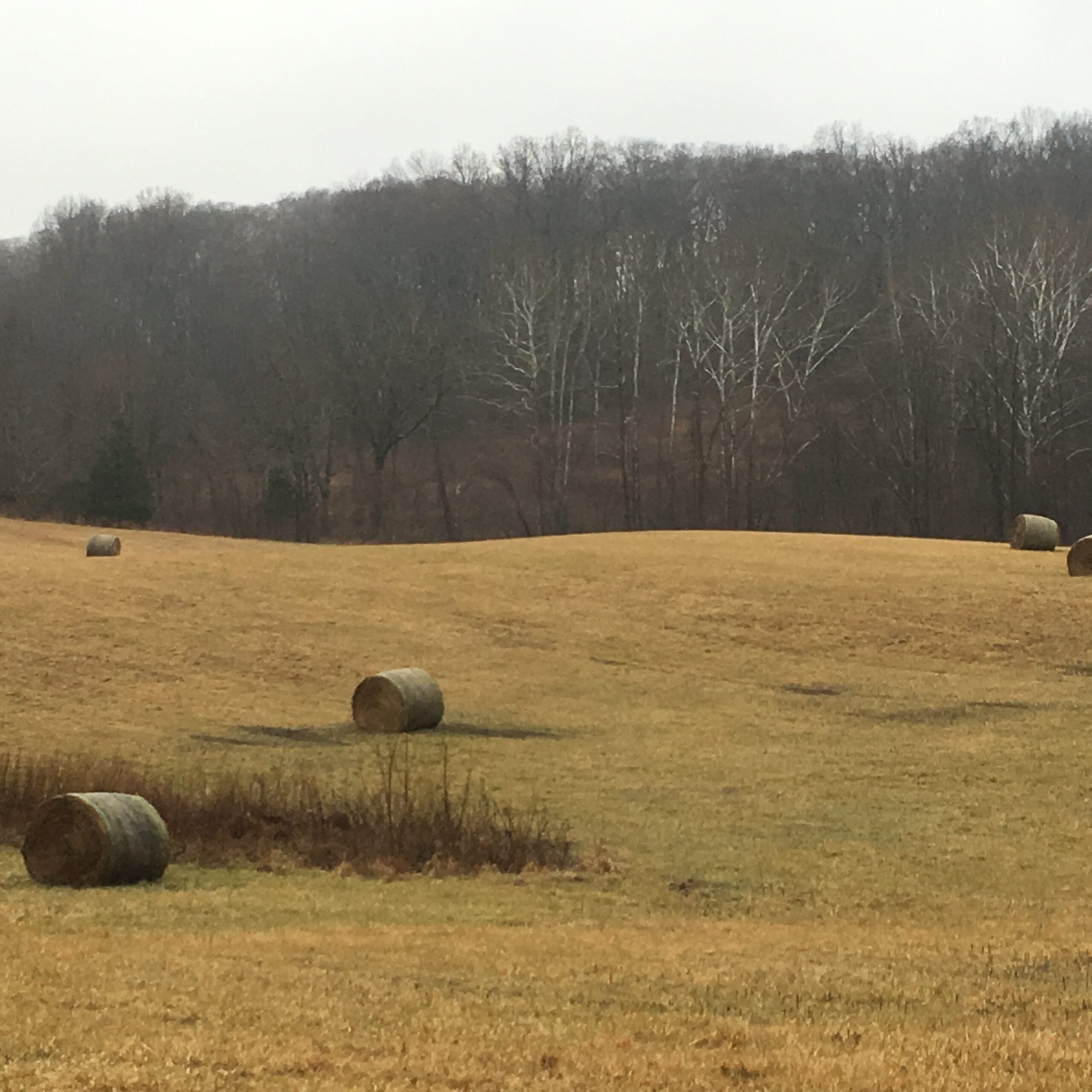 Hay is for Horses - Lost Art Press