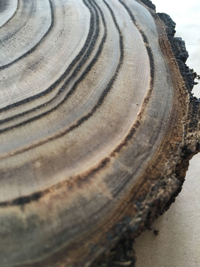 Finishing Up ‘Cut & Dried’ - Lost Art Press