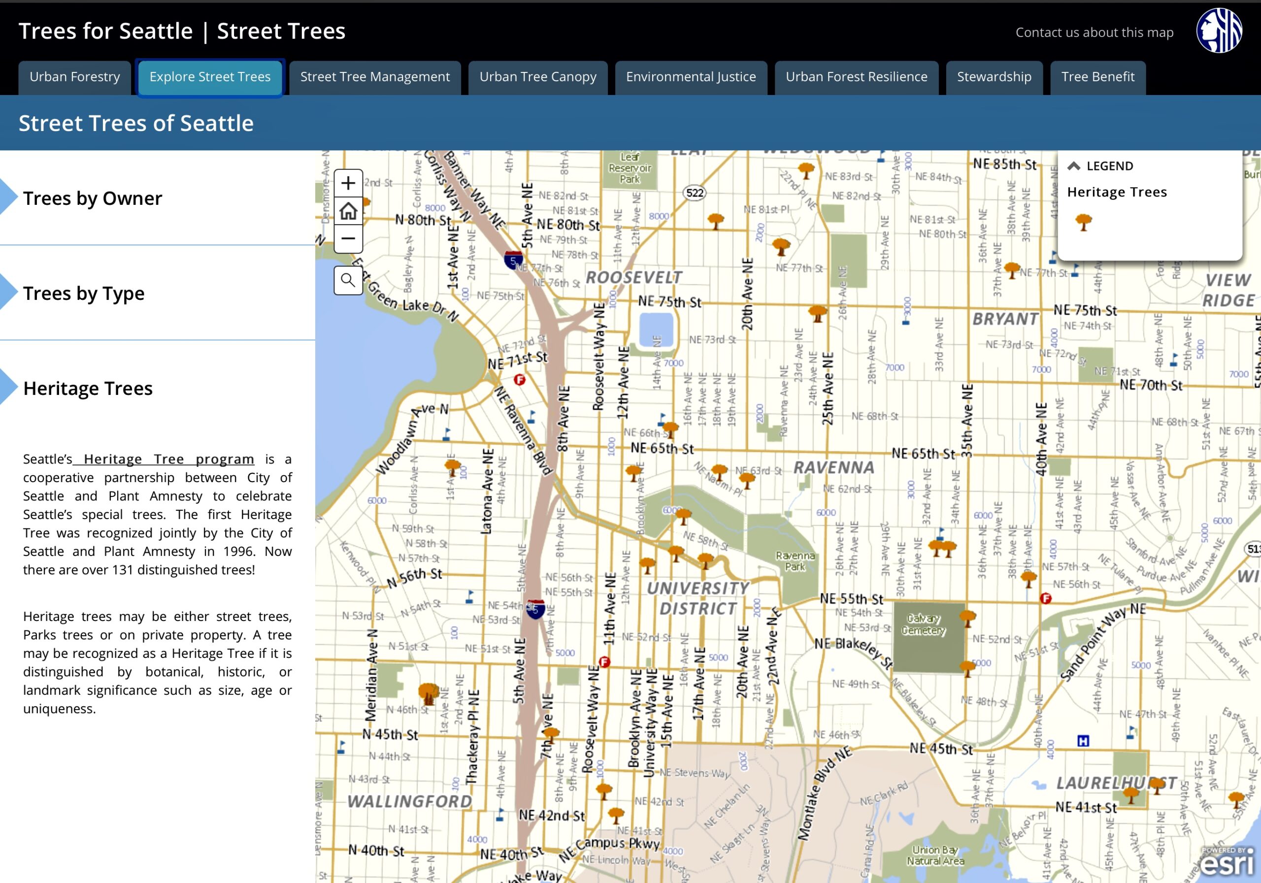 Trees on Streets and Maps - Lost Art Press