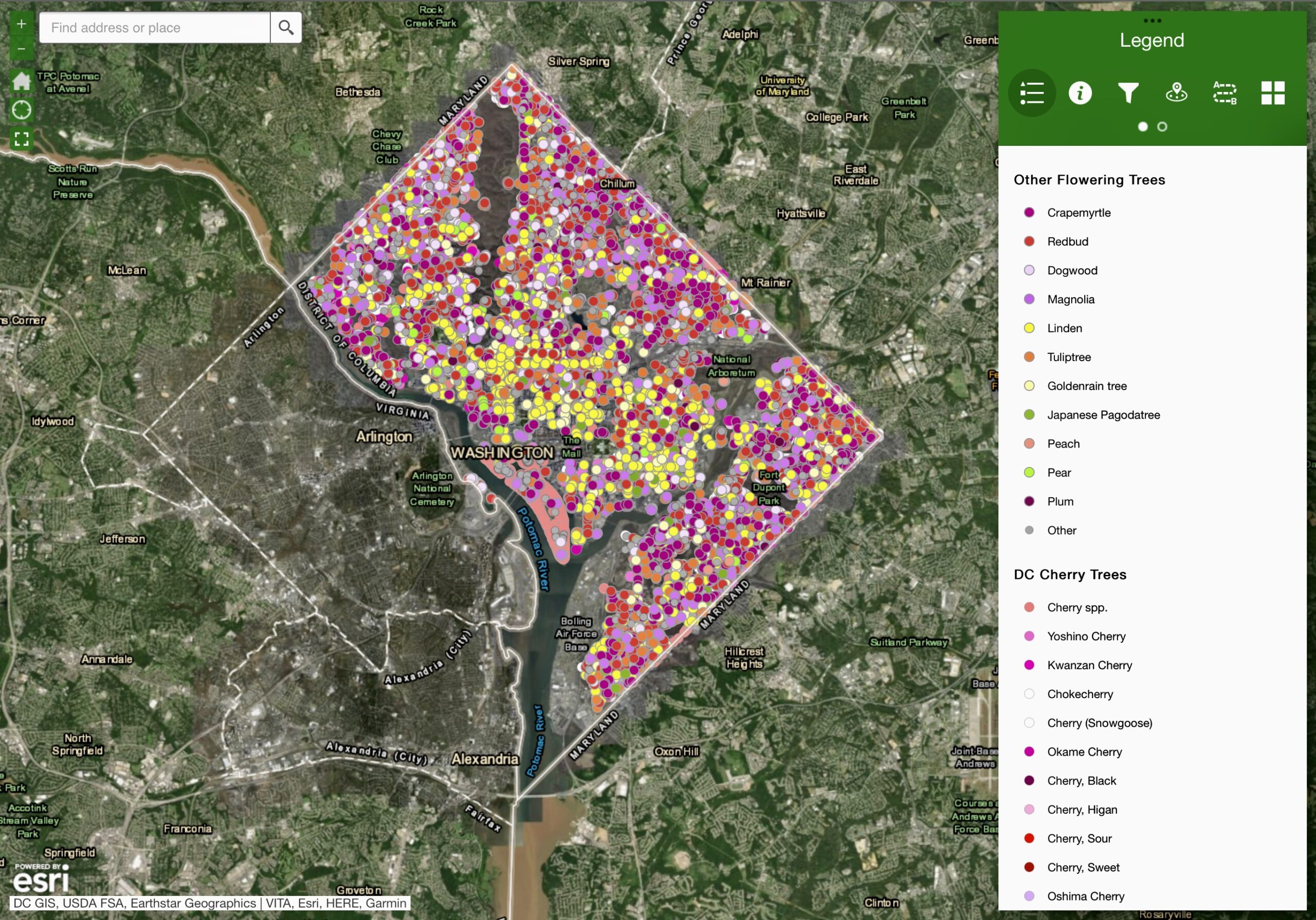 Trees on Streets and Maps - Lost Art Press