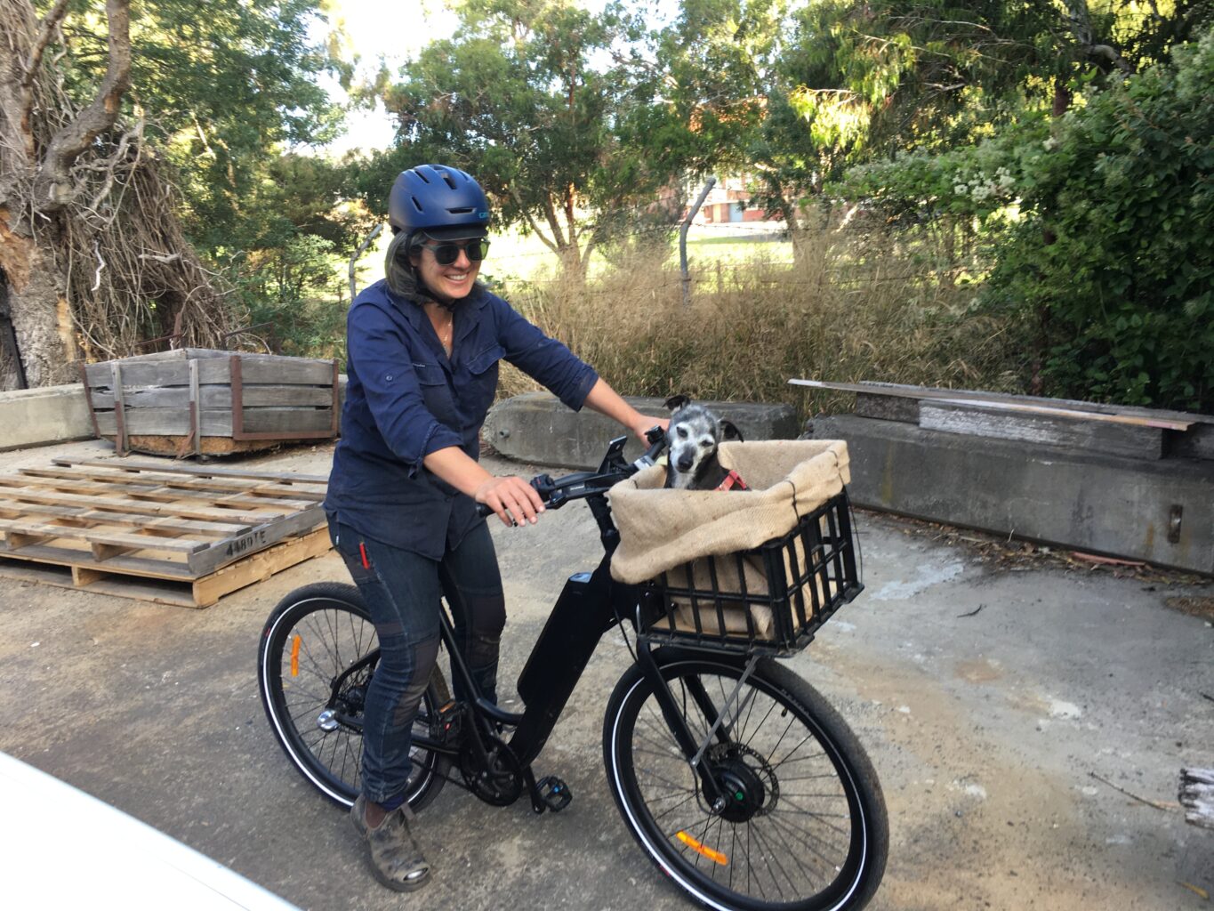 Laura McCusker: An Idyll at the Bottom of the Planet - Lost Art Press