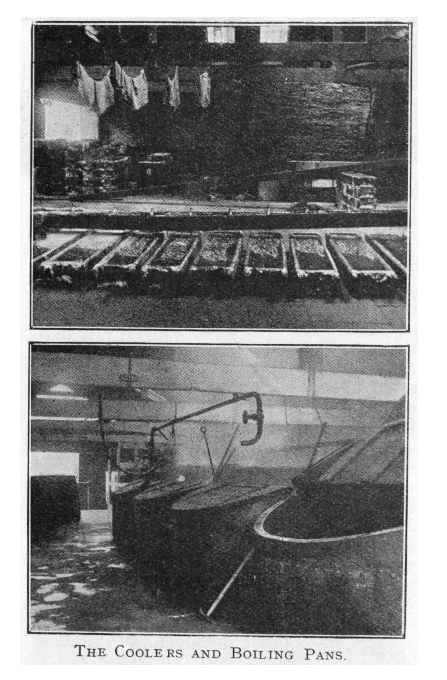 'A Visit to a Glue Factory' - Lost Art Press