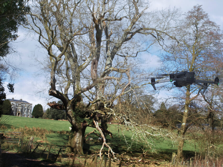 'Cadi' Visits Nannau Hall - Lost Art Press