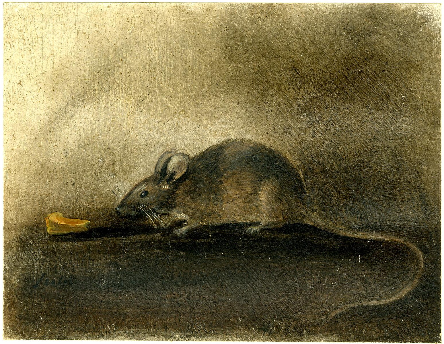 The 'Welsh Tidy Mouse' - Lost Art Press