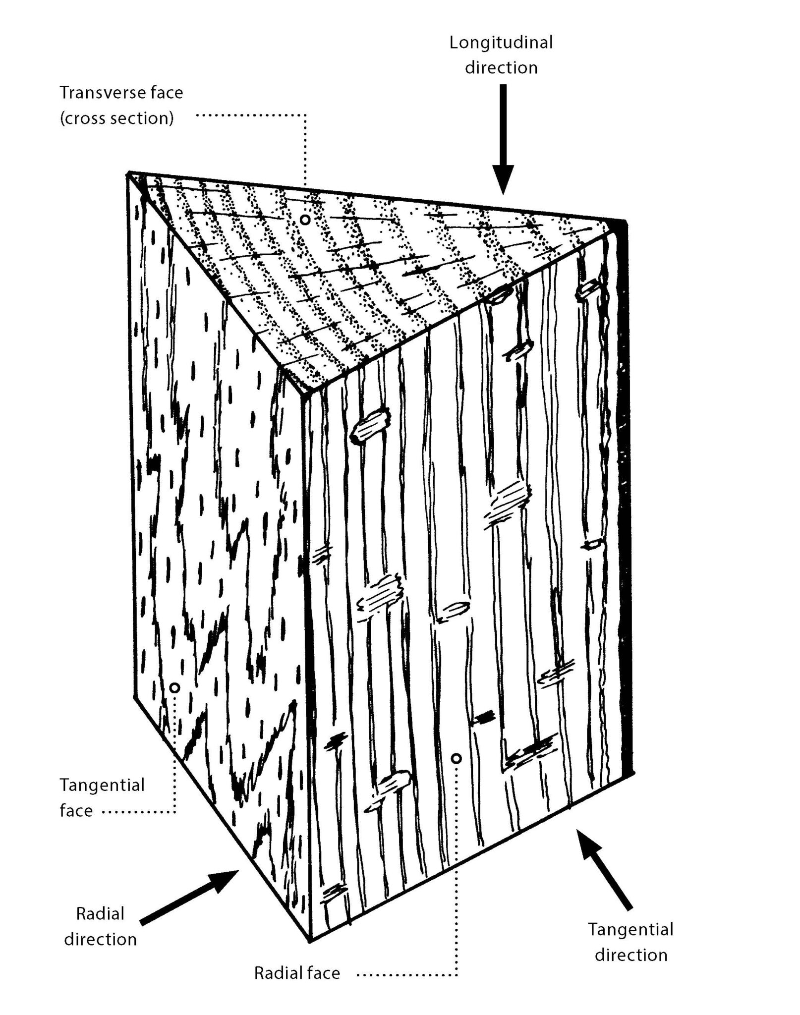 Wood Properties - Lost Art Press